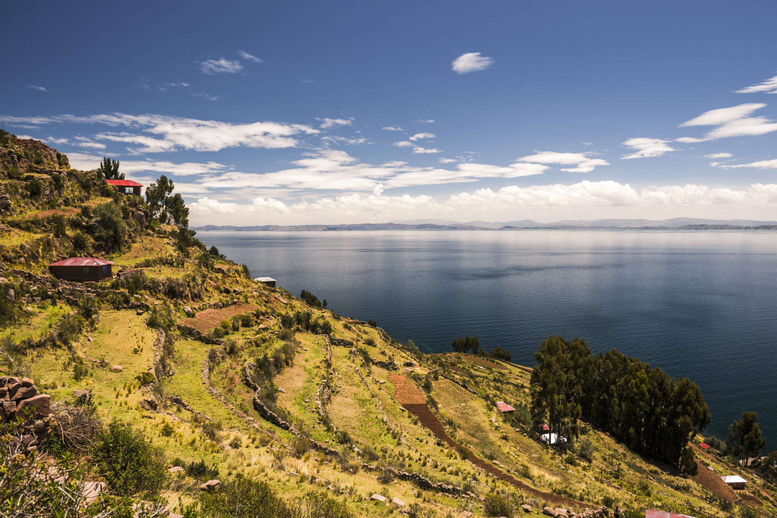 Lake Titicaca Living Lakes Network Lake Titicaca Living Lakes Network
