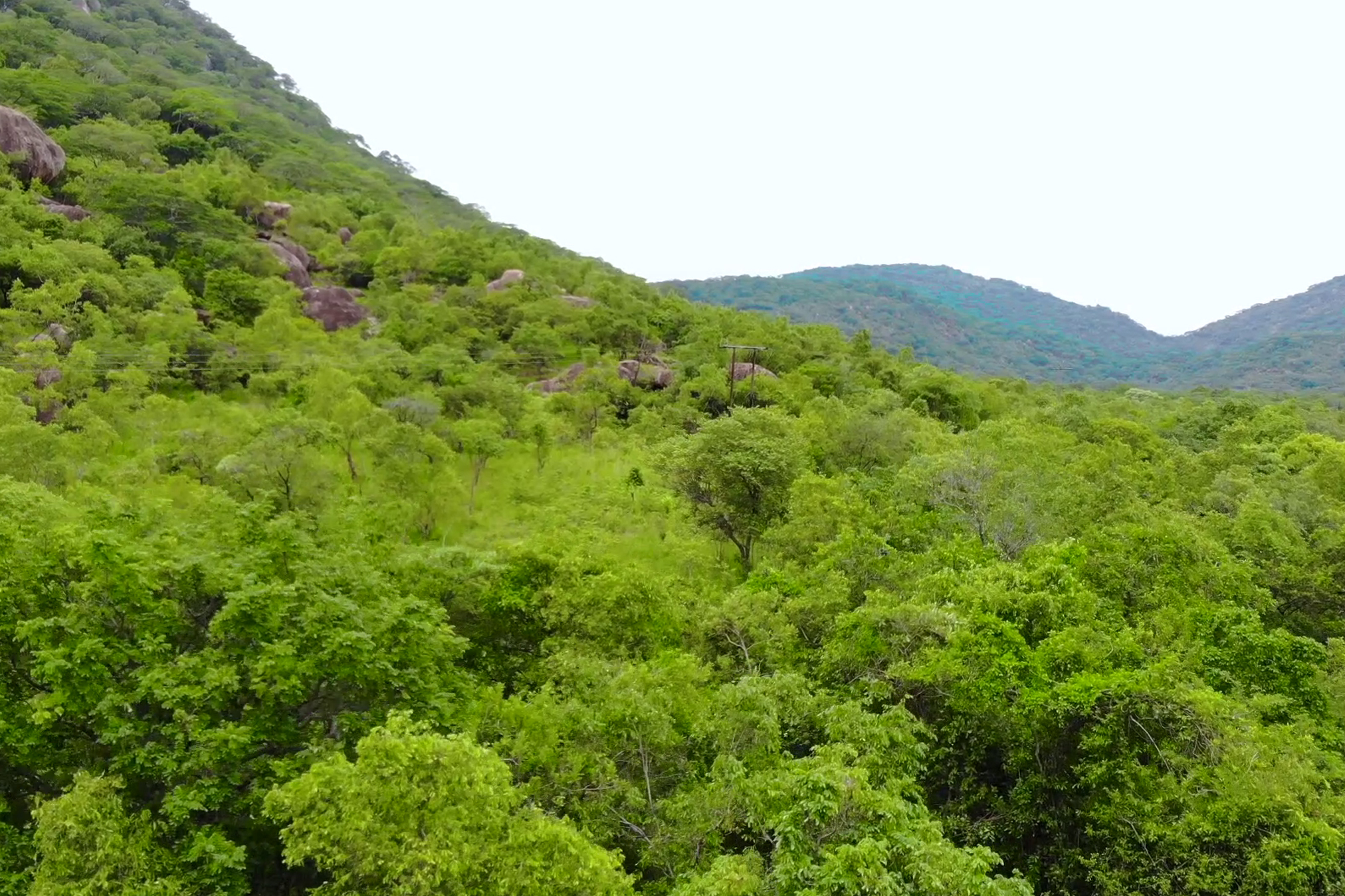 Lake Malawi - Living Lakes Network