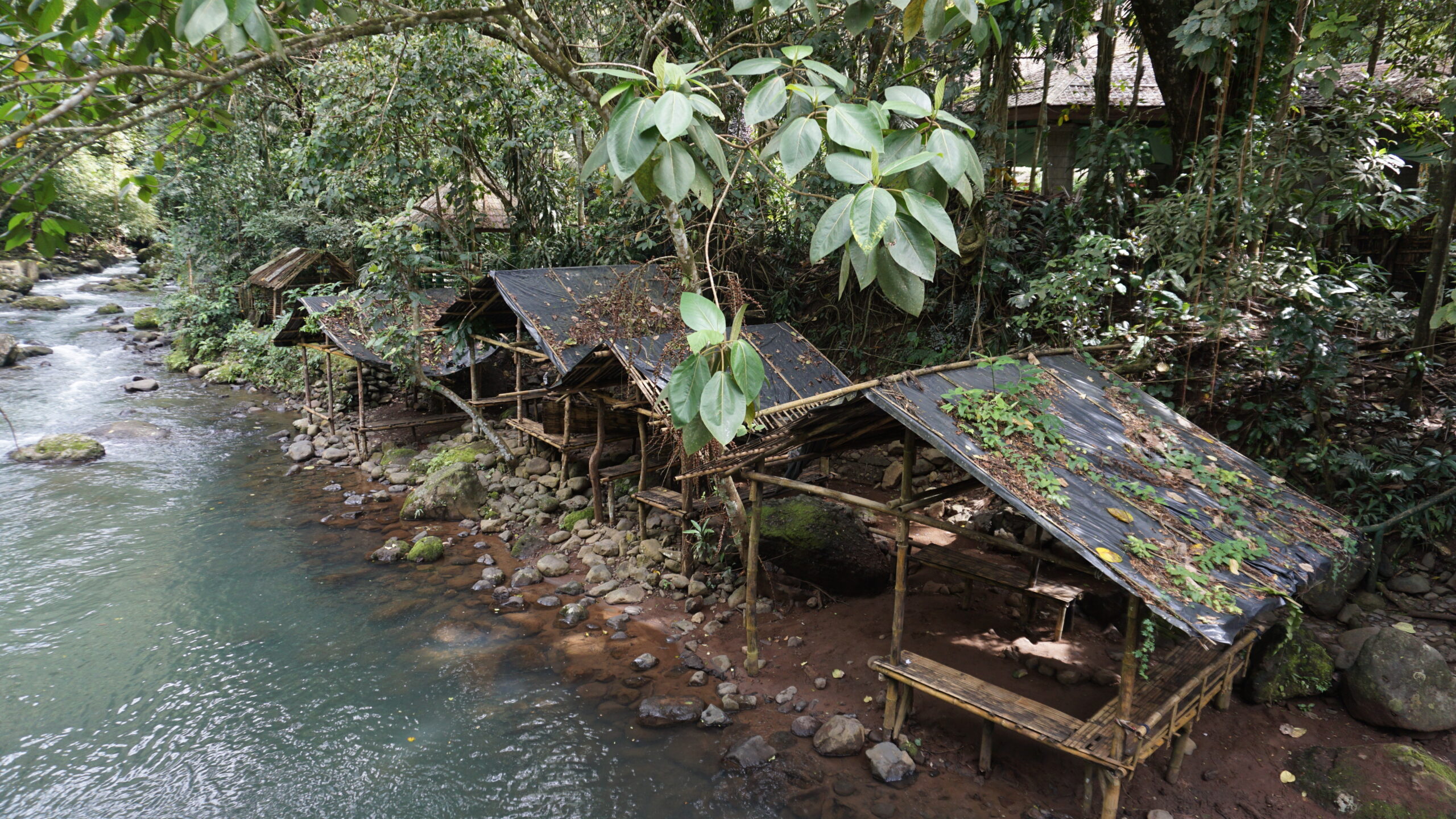 Laguna de Bay - Living Lakes Network