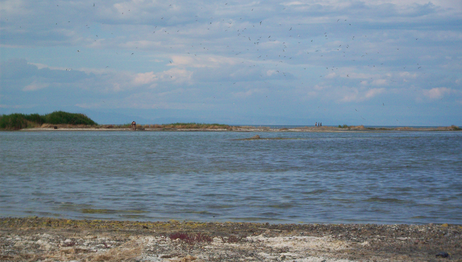 Lake Uvs - Living Lakes Network
