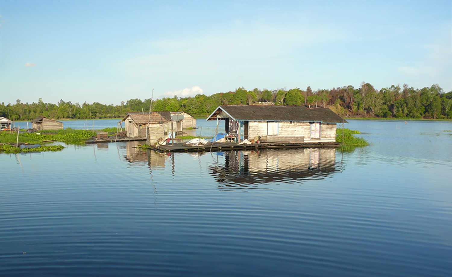 Mahakam Lakes and Wetlands - Living Lakes Network
